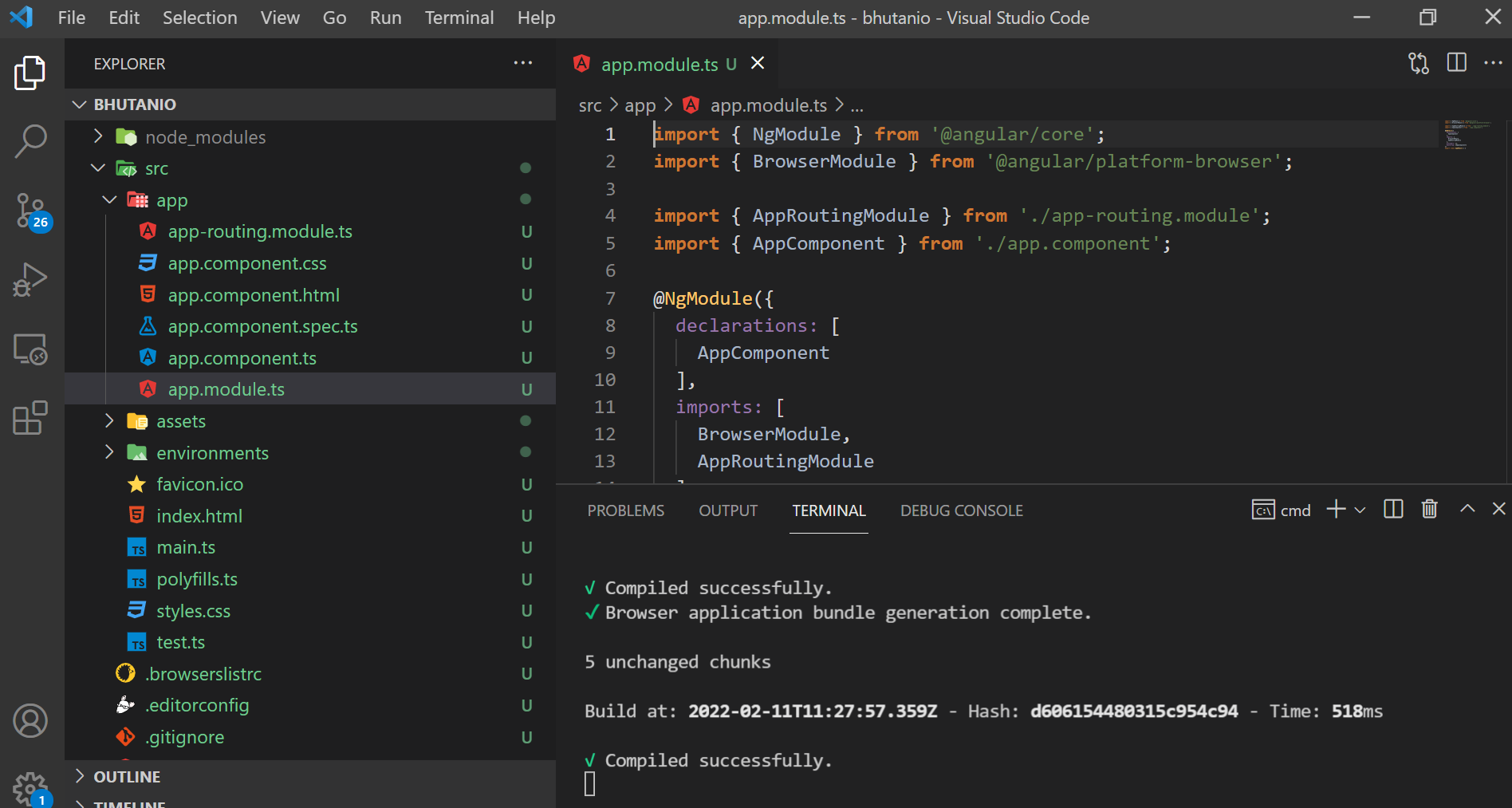 Understanding Angular Project Structure